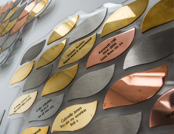 Memory Tree | Remembrance | St Luke's Hospice Plymouth