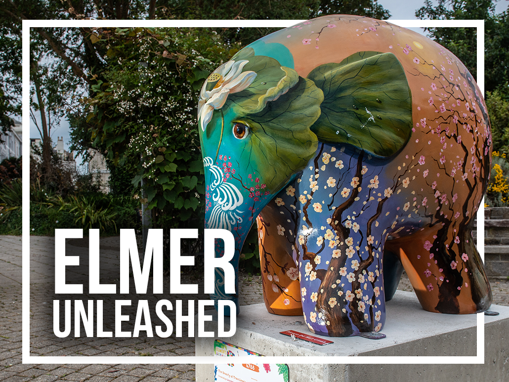 Elmer Unleashed | St Luke's Hospice Plymouth